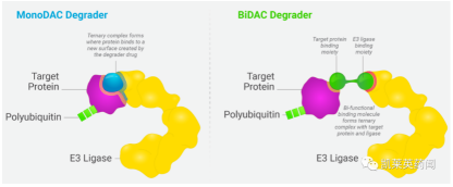 C4 Therapeutics：BiDAC降解剂 CFT8634已完成1/2 期临床试验中第一位患者给药-海思科医药集团